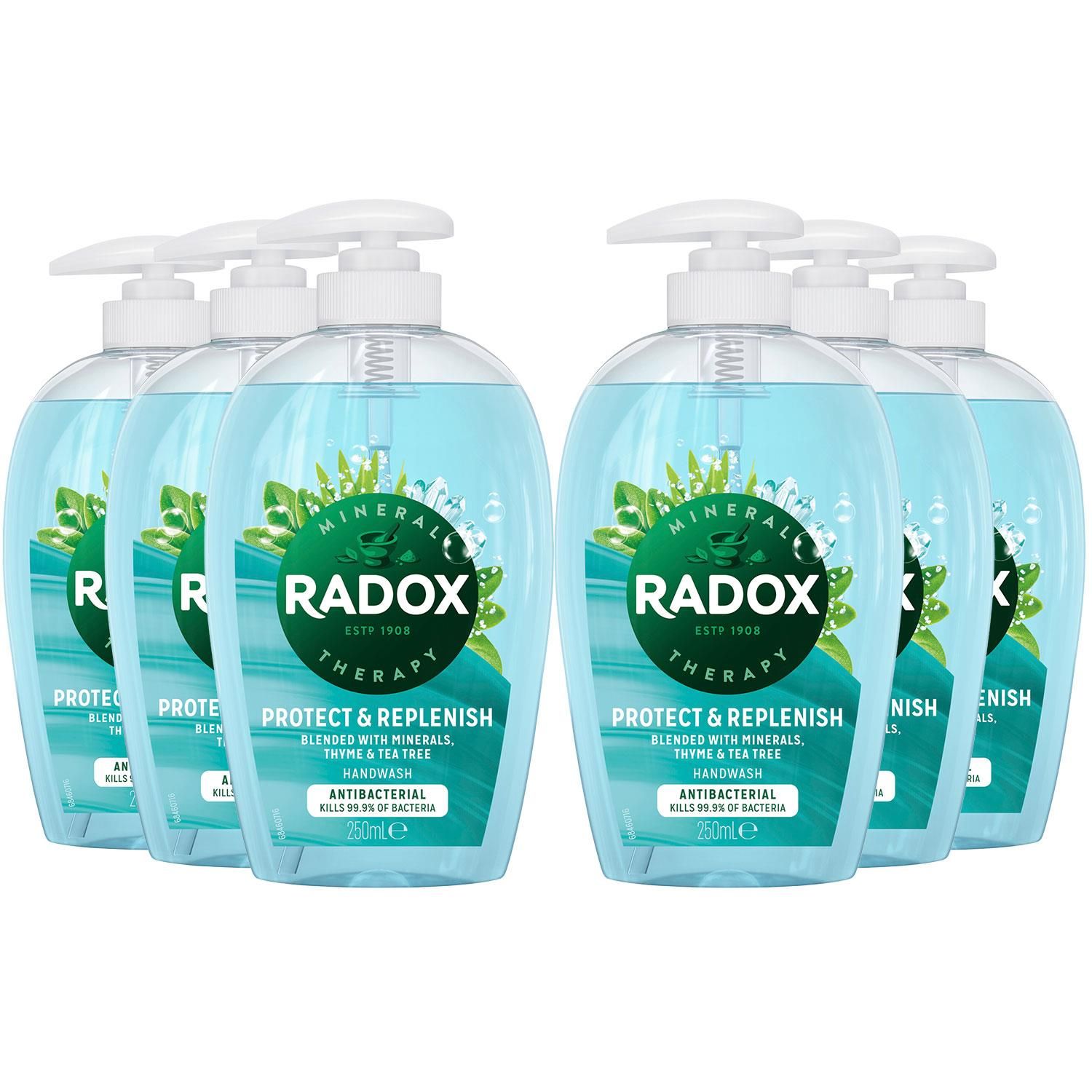 Radox Hand wash Protect + Replenish 250ml, 6 Packs