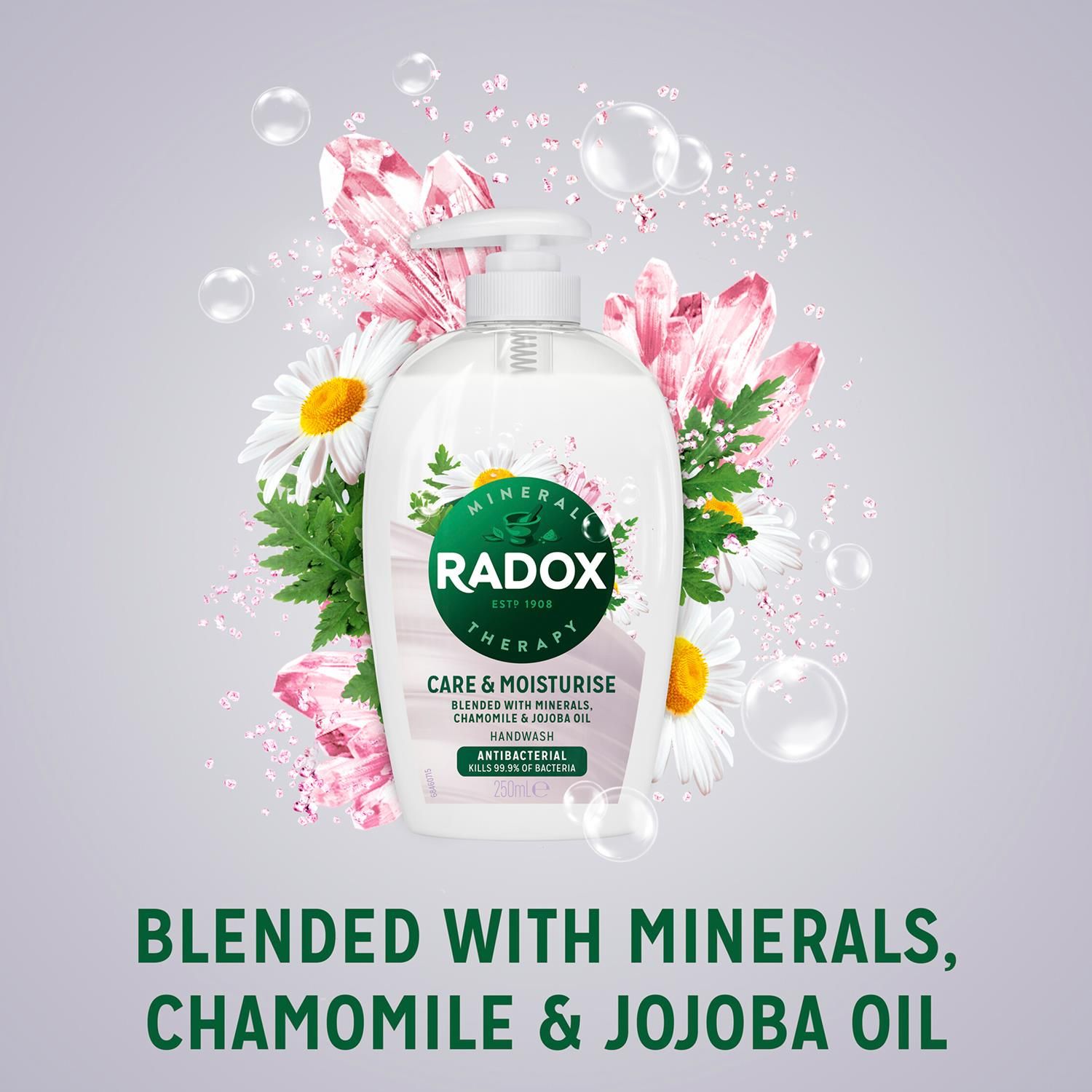 Radox Care+Moisturise Anti-bac Hand Wash 250ml, 6 Pack