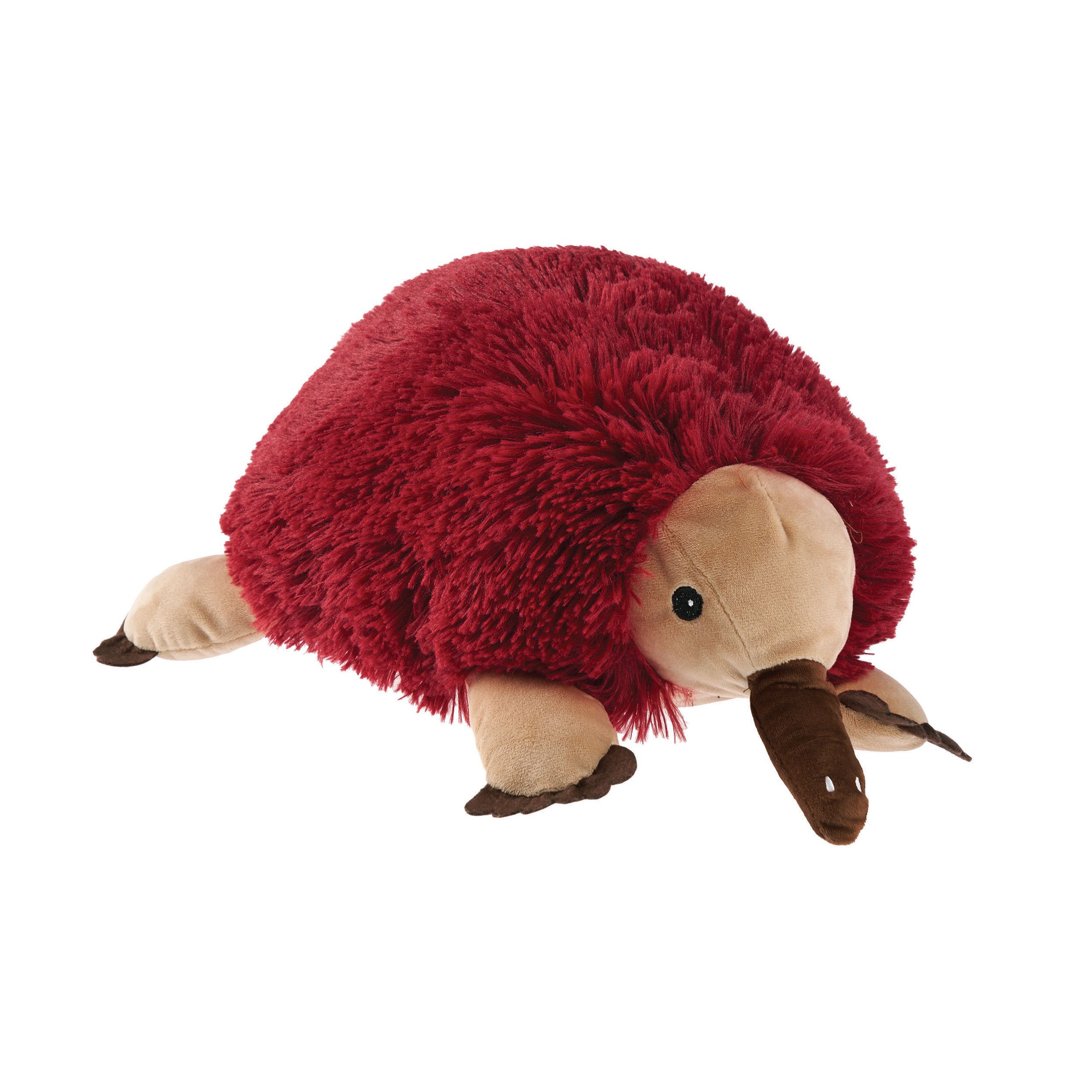 Eddy Echidna Plush Toy