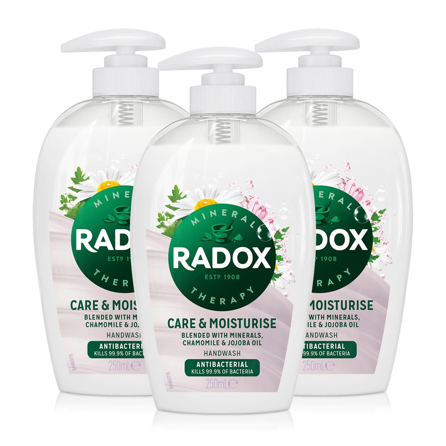 Radox Care+Moisturise Anti-bac Hand Wash 250ml, 3 Pack